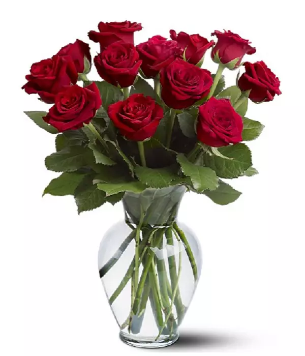 Dozen Long Stemmed Red Roses | Same Day Roses | Bloomex Australia
