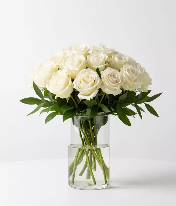 24 Long Stemmed White Roses | Buy Roses with Delivery | Bloomex Australia