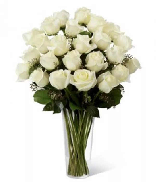 24 Long Stemmed White Roses | Buy Roses with Delivery | Bloomex Australia